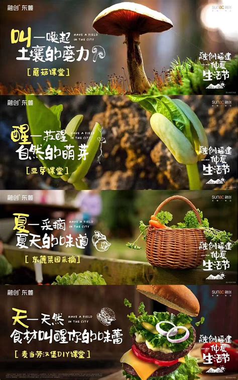 手写字体