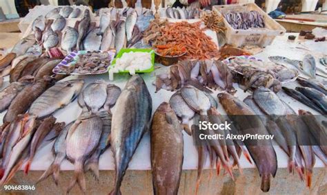 진짜 생선 시장 및 신선한 생선 해산물 모로코에서 대서양에서 갑각류에 대한 스톡 사진 및 기타 이미지 갑각류 건강한 생활방식 건강한 식생활 Istock