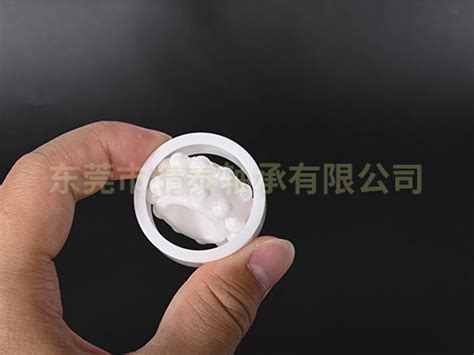 满装球塑料轴承 轴承 轴承批发 东莞市精泰轴承有限公司