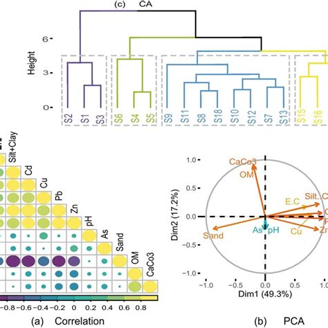 Multivariate Statistical Analyses Of Heavy Metals And Physico Chemical Download Scientific