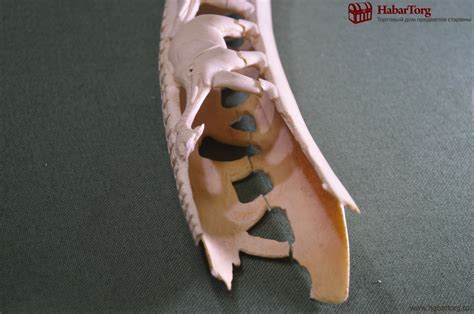 Купить Бивень слона слоновья кость Полый прорезной Стадо слонов крокодил Резьба 79 см 1