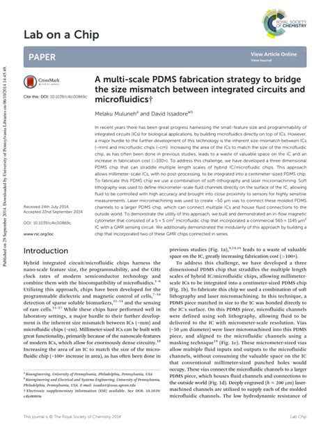 pdf a multi scale pdms fabrication strategy to bridge the size