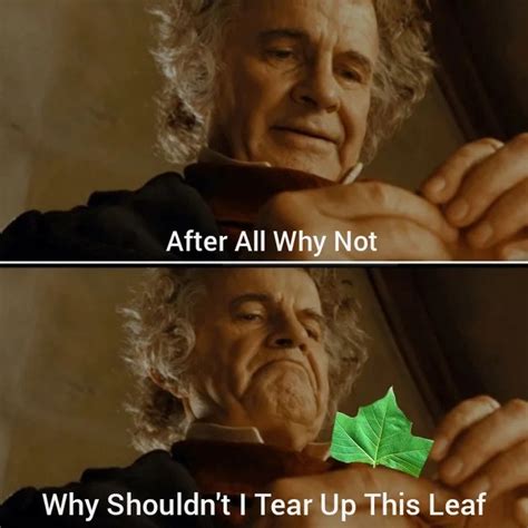 After All Why Not Why Not Shouldn T I Tear Up This Leaf Funny