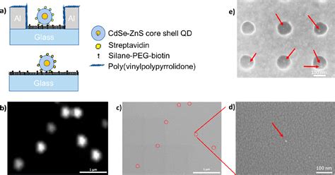 Plasmon Enhanced Fluorescence Of Single Quantum Dots Immobilized In Optically Coupled Aluminum