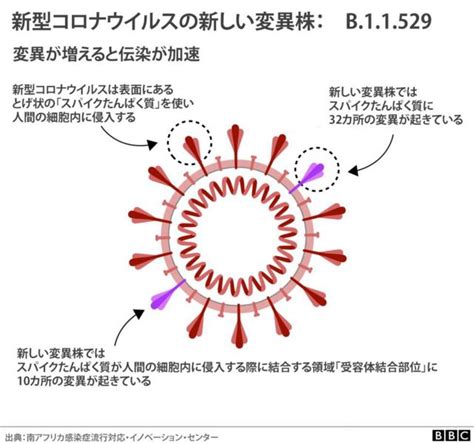 オミクロン株で「パニックしないで」、慎重な対応と準備が必要と呼びかけ＝who Bbcニュース