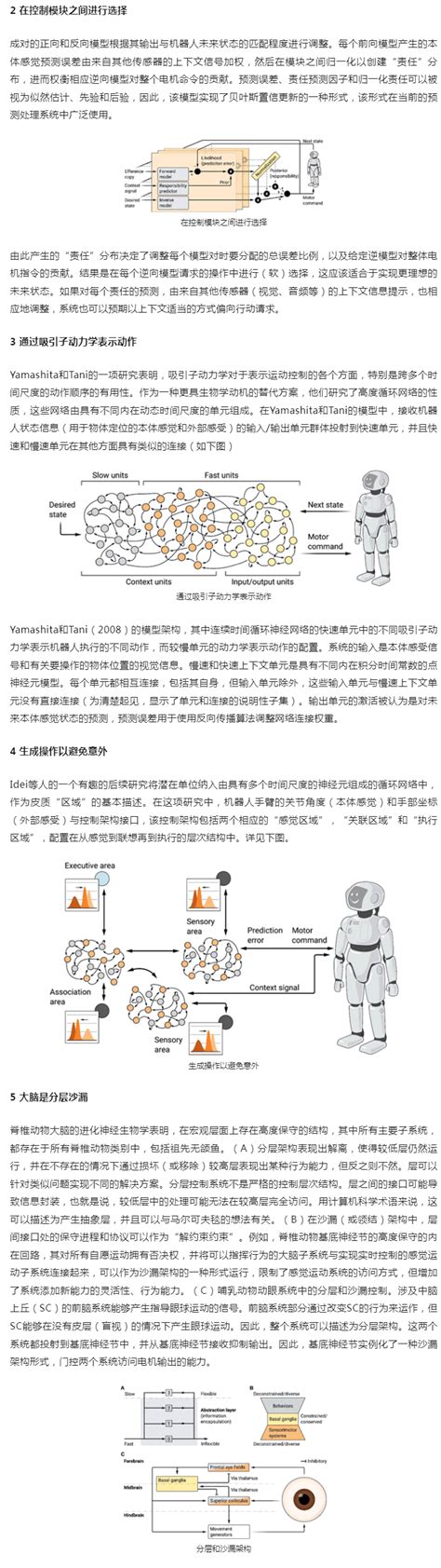 通过机器人技术了解大脑功能架构