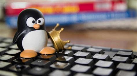 Qual A Diferença Entre O Powershell E O Terminal Do Windows