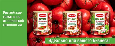 Пиканта Professional | Профессиональная линейка продукции «Пиканта» для ...