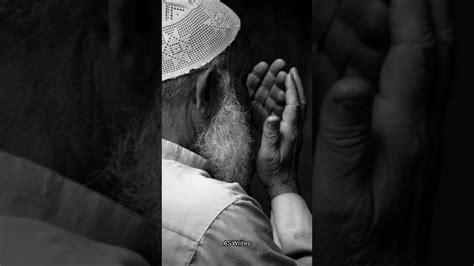 Heart Touching Lines 🥰 Bayan By Molana Tariq Jameel Whatsapp Status