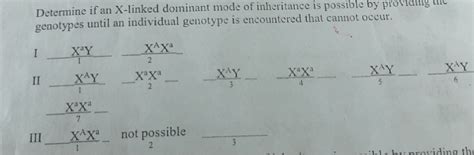 determine if an x linked dominant mode of inheritance