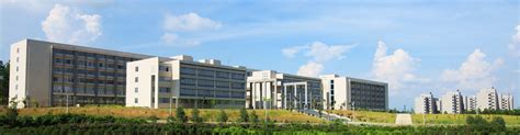 广西交通职业技术学院2023年高层次人才（博士）招聘公告高层次人才网