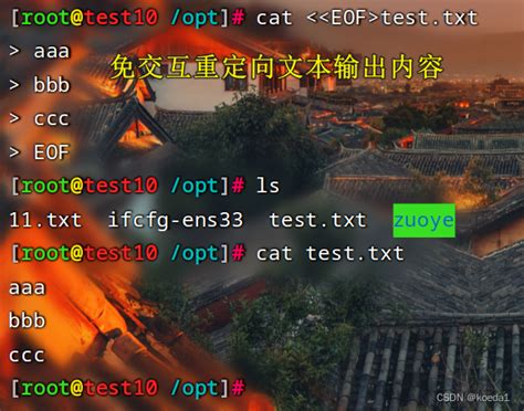 Shell之免交互shell 执行其他命令期间无视输入 Csdn博客
