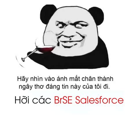 brse salesforce lê thảo uyên hybrid technologies