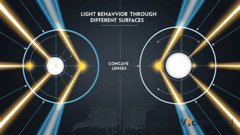 Convex Or Concave Understanding The Key Differences Vocablarified