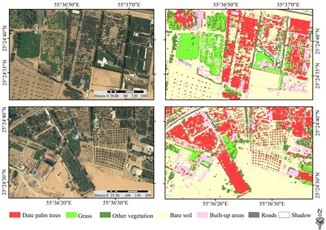 Image Segmentation Parameter Selection And Ant Colony Optimization For Date Palm Tree Detection