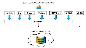 Inspirasi Seni Technology Installasi Application SAP HANA Client Pada Linux SUSE