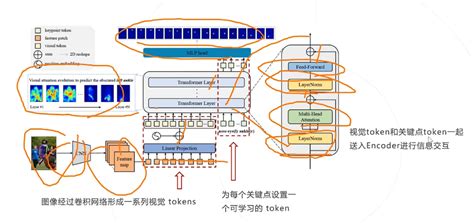人体姿态估计概论笔记【openmmlab Ai实战营第二期day2】 知乎