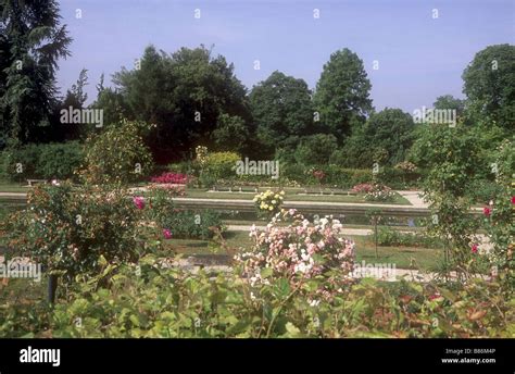 Arboretum De L Ecole Du Breuil In Paris Stock Photo Alamy