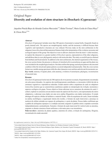 Pdf Diversity And Evolution Of Stem Structure In Eleocharis Cyperaceae