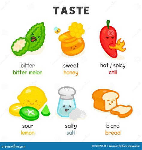 Food And Taste Diagram Chart In Science Subject Kawaii Doodle Vector
