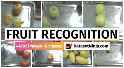 Fruit Recognition Dataset Ninja