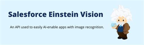 Salesforce Einstein Vision Api Einstein Vision Astrea It Services