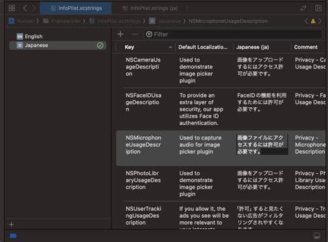 Flutter Info Plist