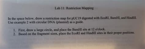 solved lab 11 restriction mapping exercise 11 3 circular