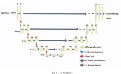 Figure 1 From Left Ventricle Segmentation In Cardiac Mr Images Using Deep Neural Network Models