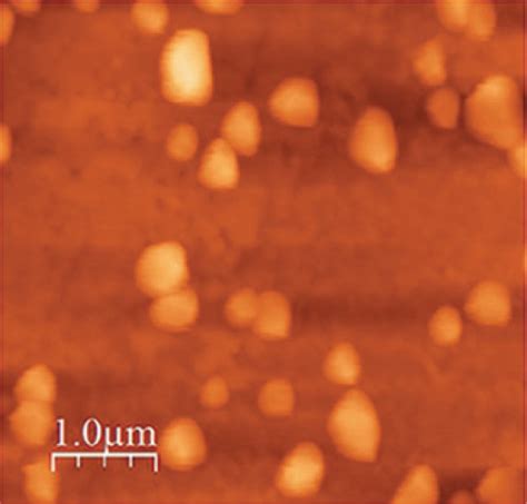 Characterization Of Exosomes By Scanning Electron Microscopy Sem And