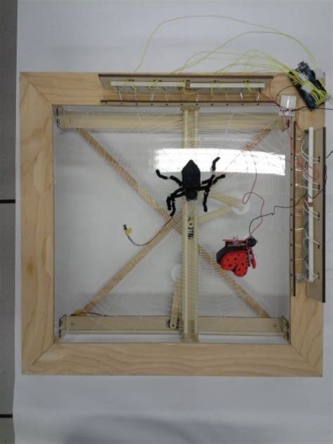 Bug Catching Spider In Web Part 1 15 Steps With Pictures