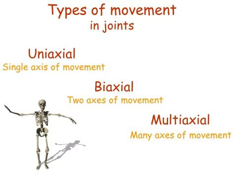 Ppt Uniaxial Powerpoint Presentation Free Download Id884076