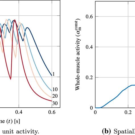 Activation Protocols For The Sub Maximal Static Bite For Both A Motor Download Scientific