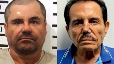 ¿cártel De Sinaloa En Declive Tras Caída De Sus Líderes Grupo Milenio