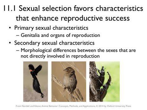 Mating Behavior
