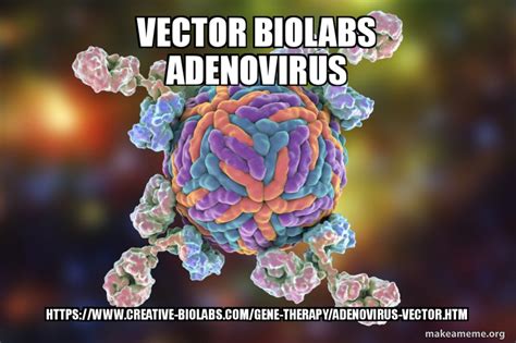 Vector Biolabs Adenovirus Creative Gene Therapy