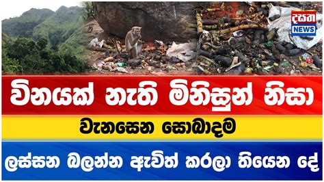 ඇල්ල සංචාරක කලාපයේ පරිසර විනාශය Youtube