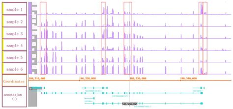 Msiq Joint Modeling Of Multiple Rna Seq Samples For Accurate Isoform Quantification Abstract