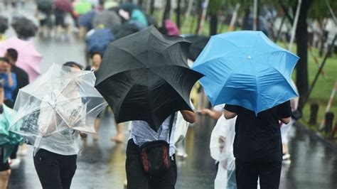 游客台风天硬核逛西湖：这么大雨 想感受一下凤凰网视频凤凰网