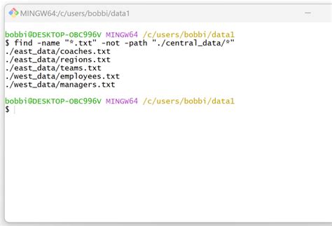 Bash Use Find Command And Exclude Specific Directory Collecting Wisdom