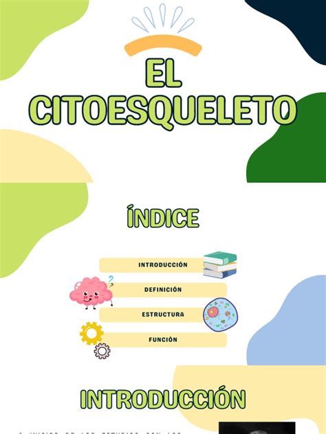 El Citoesqueleto Pdf Microtúbulos Citoesqueleto