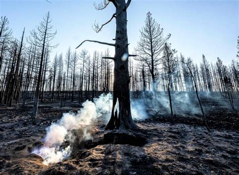 Couple Charged After Gender Reveal Starts Wildfire ขาวประจำวน Engoo