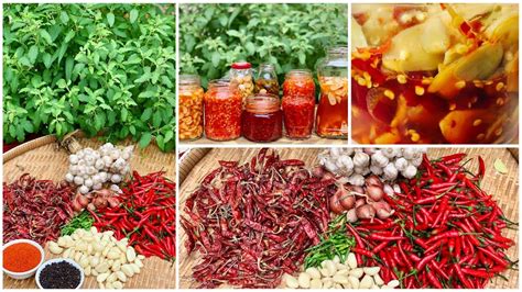 ចែកគ្នាដឹង ញ៉ាំម្ទេសមានប្រយោជន៍ច្រើនចំពោះសុខភាព អាចជួយកាត់បន្ថយមហារីកពោះវៀនធំ