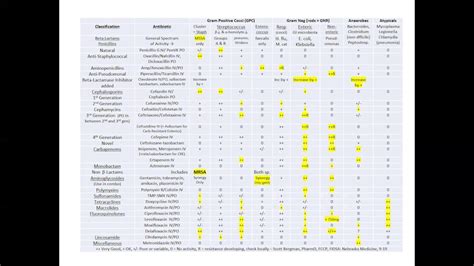 Beta Lactam Coverage Chart