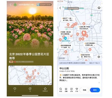 高德上线北京赏花地图 推荐全市最美赏花地 北京事儿 新湖南