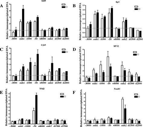 A Cell Type Specific Transcriptional Network Required For Estrogen