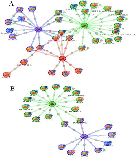 Transcriptional Regulation Networks Highlight Synergistic Regulation Download Scientific