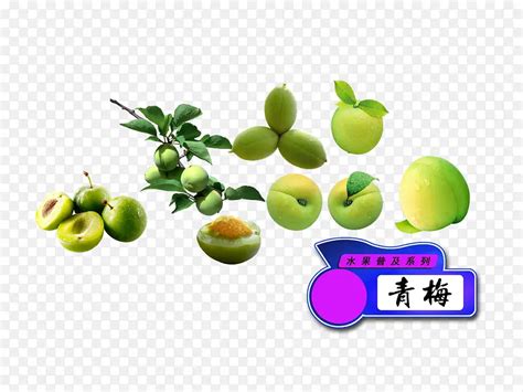 青梅果免抠下载PNG图片素材下载 图片编号qpabdzap 免抠素材网