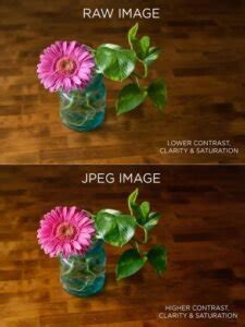 Format Raw Le Guide Complet