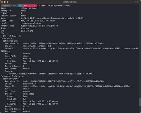 Kubernetes Ephemeral Container 란